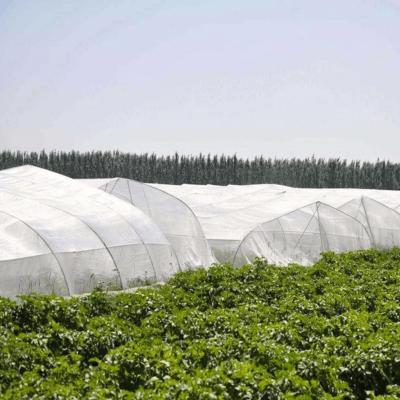 China Nylon Multifilament High Strength Insect Net For Commercial Horticulture for sale