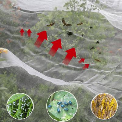 China 100% New Nylon Greenhouse Insect Netting For Vegetable Pest Control for sale