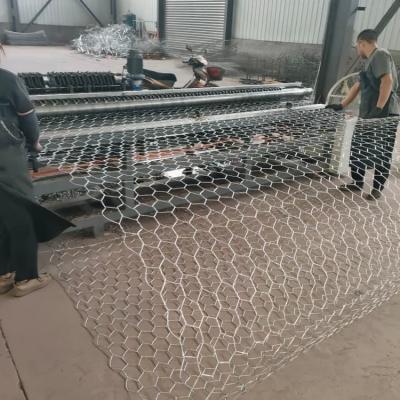 China Hot Dipped Galvanized Gabion - 100x120mm Hexagonal Netting for River Bank Protection for sale