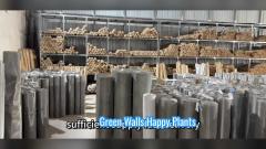 High Precision Stainless Steel Filter Mesh