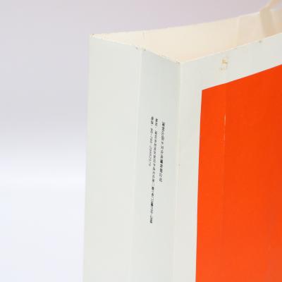 China Printing Customized Custom Printed Clothes and Shoes Paper Bags with Customized Design and CMYK/Pantone Colors for sale