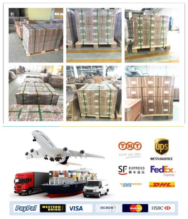 Hydraulic Spare Parts A10vso28dfr1 Hydraulic Piston Pump