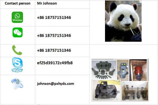 A10vso28 Hydraulic Piston Pump Hydr Pump for Crawler Crane