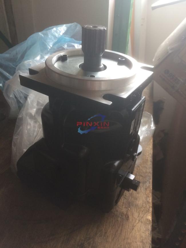 Hydraulic Spare Parts Pump of C161504307 Originial