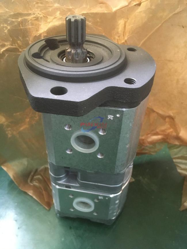 Hydraulic Parts Gear Pumps Azpff-11-022/008rrr2020kb-S0081 in Stock on Sale Good Supplier