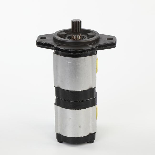 Hydraulic Gear Pump Manufacture of China Quick Ship