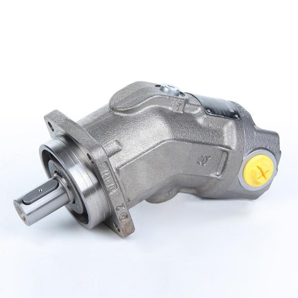 Quality A2FM63/61W-Vud027 Rexroth Piston Motor for Truck Mixer and Construction for sale