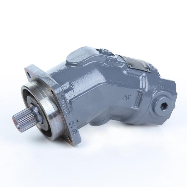 Quality Tech Service Supported A2FM Series Hydraulic Motor for Rexroth 451nm Torque for sale