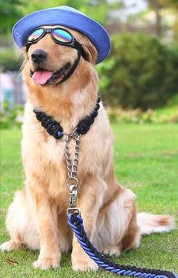 中国 犬の鎖の開始のサイズのための亜鉛ダイカストの旋回装置の急なホック 販売のため