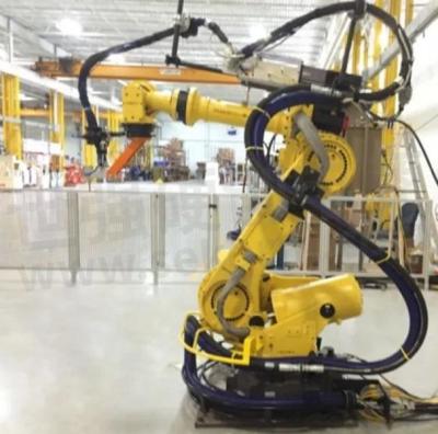 Cina Trasporto del centro di imballaggio del vestito dal robot dello spruzzo per ridurre occupazione dello spazio in vendita