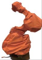 China Sectional Type Robotic Armor Covers with Waterproof And Corrosion-resistant Function for sale