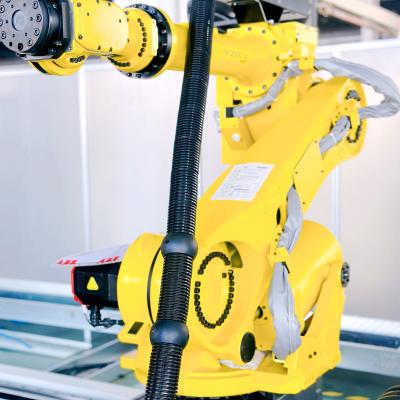 Cina Robot Dress Pack con 1-6 assi Line Pack Localizzazione per Bellows Modello M50 in industriale in vendita