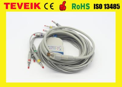 Cina Cavo e leadwires compatibili del cavo ECG/EKG di HP M1770A 10 con la norma di IEC Banana4.0 in vendita