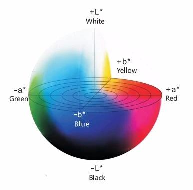 color space.webp.jpg