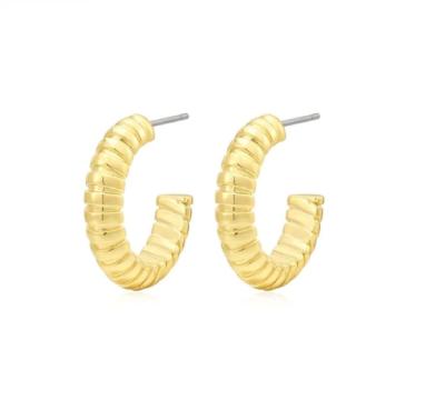 China Textured Snake Chain Hoop Earring in 925 Sterling Silver for Girls' Accessory Box for sale