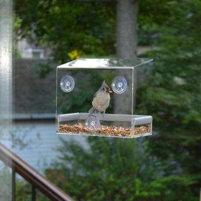 China Wholesale 2016 Custom Hanging Bird Water Feeder,Grateful Gnome Window Brid Feeder,Acrylic Clear for sale