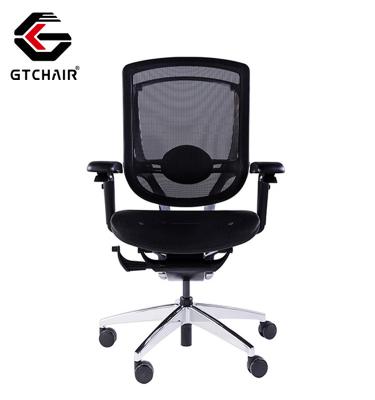 Cina Computer ergonomico della parte posteriore di GTCHAIR Marrit X Mesh Adjustable Office Chair Mid in vendita