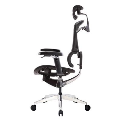 Cina Computer ergonomico di GTCHAIR Mesh Office Chairs Executive Comfortable in vendita