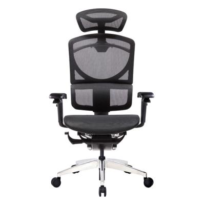 Cina Computer ergonomico di GTCHAIR Mesh Office Chairs Executive Comfortable in vendita
