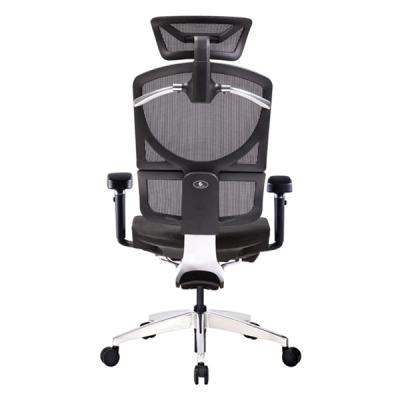 Cina Computer ergonomico di GTCHAIR Mesh Office Chairs Executive Comfortable in vendita