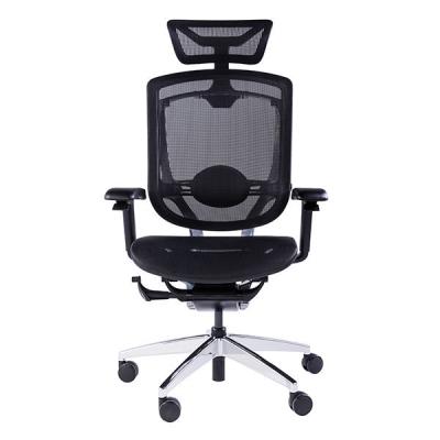 Cina Parte posteriore Mesh Office Chair della sedia ergonomica di sostegno lombare di GTCHAIR Marrit X alta in vendita