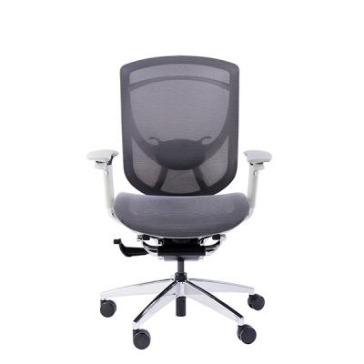Cina Sedia di scrittorio ergonomica del nero di IFIT con supporto lombare Mesh Swivel di inclinazione regolabile in vendita