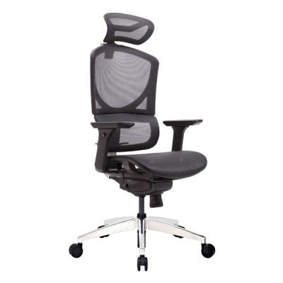 Cina Dirigente della parte posteriore di ISEE m. Full Mesh Ergonomic Office Chairs High con il poggiacapo in vendita