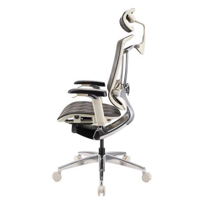 Cina La parte girevole della GT Grey Frame Ergonomic Office Chair si rilassa lo spostamento della pagaia di progettazione 5D in vendita