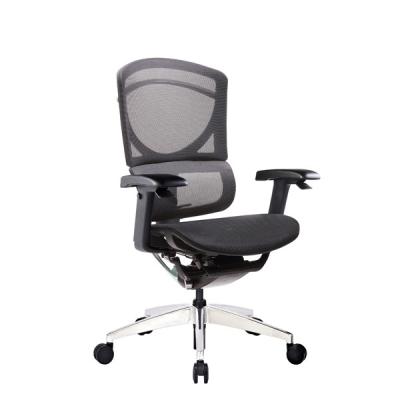 Cina Computer ergonomico di ISEE X ergo Mesh Office Chairs Mid Back per la gente di Longsitting in vendita