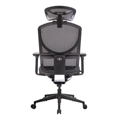 Cina Il doppio di ISEE ha spaccato il rotolamento ergonomico posteriore della parte girevole di Mesh Office Chairs Lumbar Support con la parte posteriore in vendita