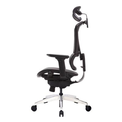 Cina Alto poggiacapo Mesh Lumbar Support della parte posteriore ISEE m. Executive Chair With in vendita