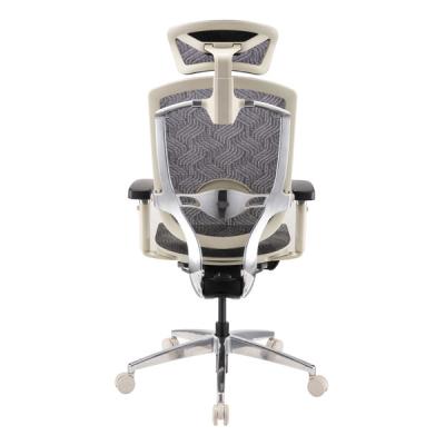 Cina Struttura di giro della parte posteriore di disposizione dei posti a sedere di Grey Frame Ergonomic Office Chair in vendita