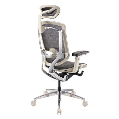 Cina Struttura di giro della parte posteriore di disposizione dei posti a sedere di Grey Frame Ergonomic Office Chair in vendita