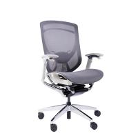 China Height Adjusting Arm Waist Support Function Mesh Back Office Chair for sale