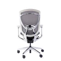 China Height Adjusting Arm Waist Support Function Mesh Back Office Chair for sale