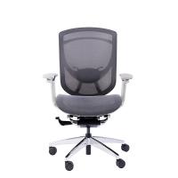China Height Adjusting Arm Waist Support Function Mesh Back Office Chair for sale