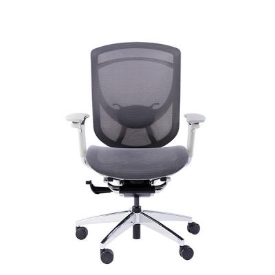 Cina Altezza che regola funzione Mesh Back Office Chair di sostegno della vita del braccio in vendita