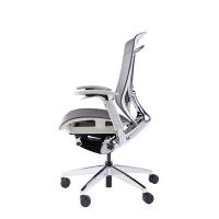 China Height Adjusting Arm Waist Support Function Mesh Back Office Chair for sale