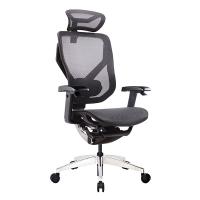 China Wintex Mesh High Back Swivel Chairs Sync Sliding 15 Locks Backrest for sale