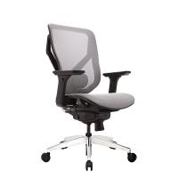 China Grey Mesh Multi-Function Home Office Computer Chairs Lumbar Support Chairs for sale