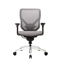 China Grey Mesh Multi-Function Home Office Computer Chairs Lumbar Support Chairs for sale