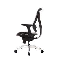 China Grey Mesh Multi-Function Home Office Computer Chairs Lumbar Support Chairs for sale