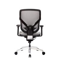 China Grey Mesh Multi-Function Home Office Computer Chairs Lumbar Support Chairs for sale