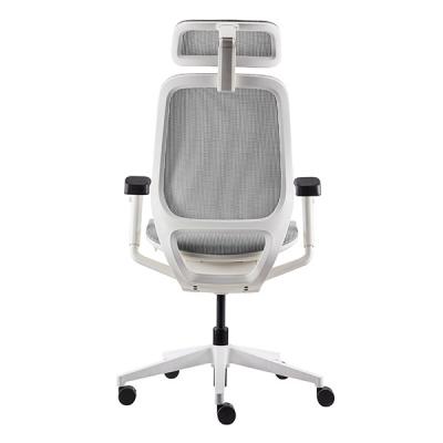 China Deslocamento da pá do sistema Mesh Office Chairs 4D do ARS de Grey Comfortable à venda