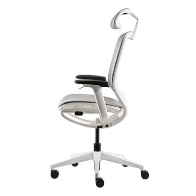 China Deslocamento da pá do sistema Mesh Office Chairs 4D do ARS de Grey Comfortable à venda