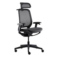 China Auto Fitting Headrest Ergonomic Mesh Task Chair 350mm Nylon Base for sale