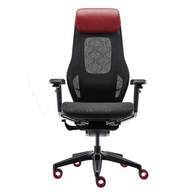 China Cadeira ergonômica luxuosa Wintex Mesh Back Gaming Chair do jogo do PC do apoio lombar à venda