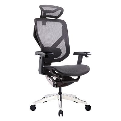 Cina Sedia girevole ergonomica di plastica nera alto Wintex elastico Mesh Chair Lumbar Support di PA in vendita