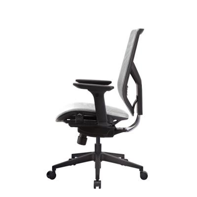 China De zwarte van de de Stoel Nylon Basis van de PA Lumbale Steun van het het Personeelsbureau van de de Stoelcomputer Ergonomische Plaatsing Te koop