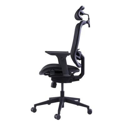 Cina Sedia esecutiva ergonomica del bracciolo di Mesh High Back Tilt Functional 4D del nero di Wintex in vendita
